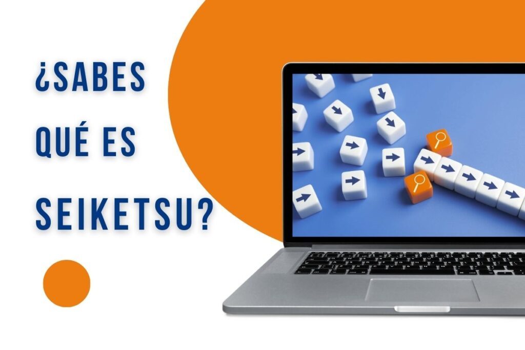 ¿Qué es Seiketsu?